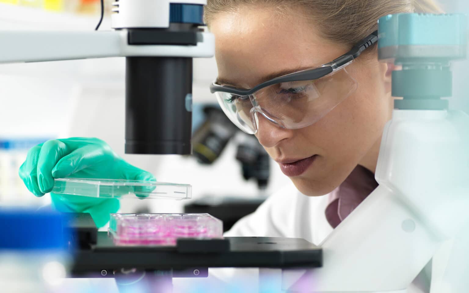 Home - Bioresonance according to Paul Schmidt