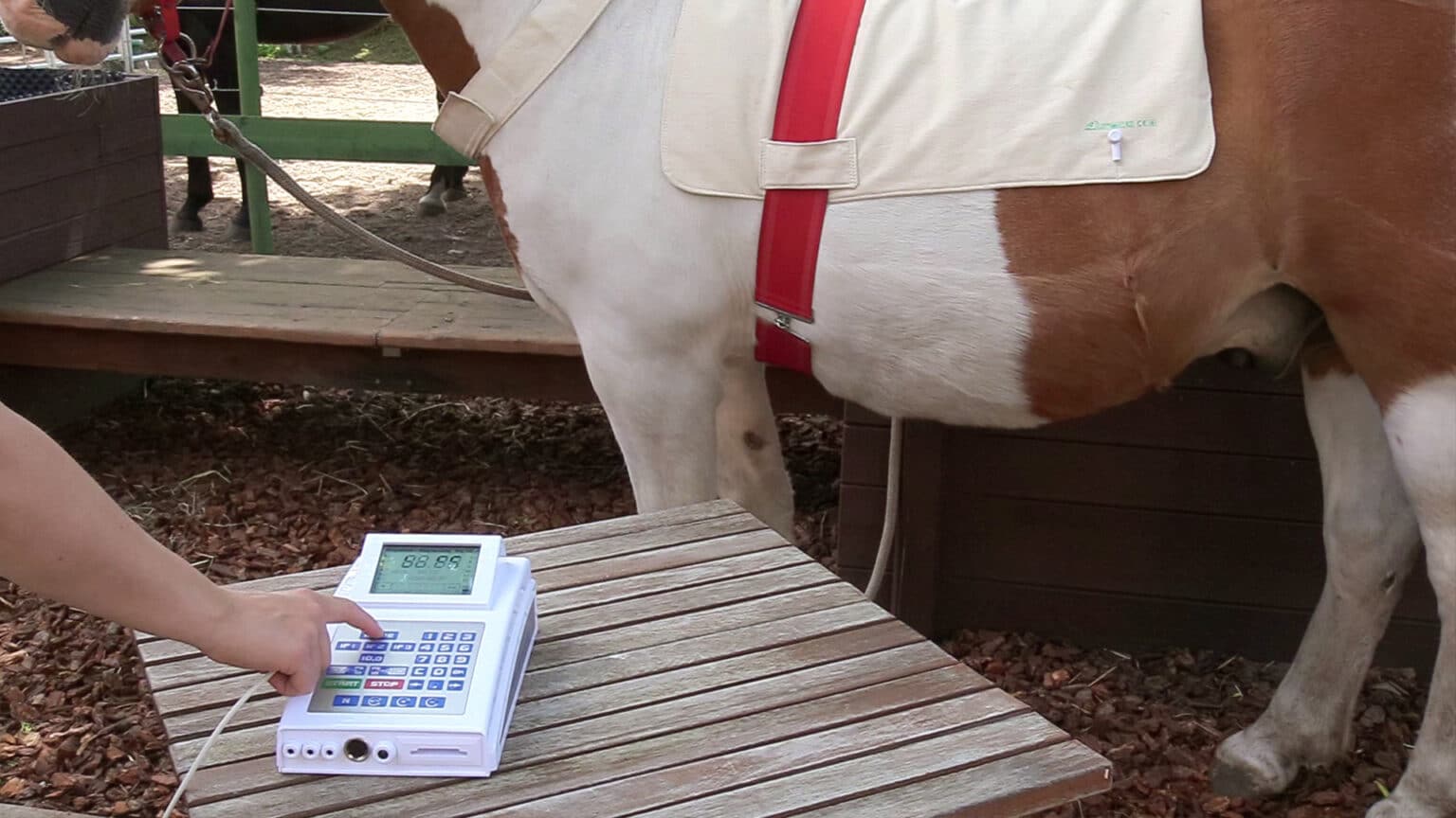 Home - Bioresonance according to Paul Schmidt